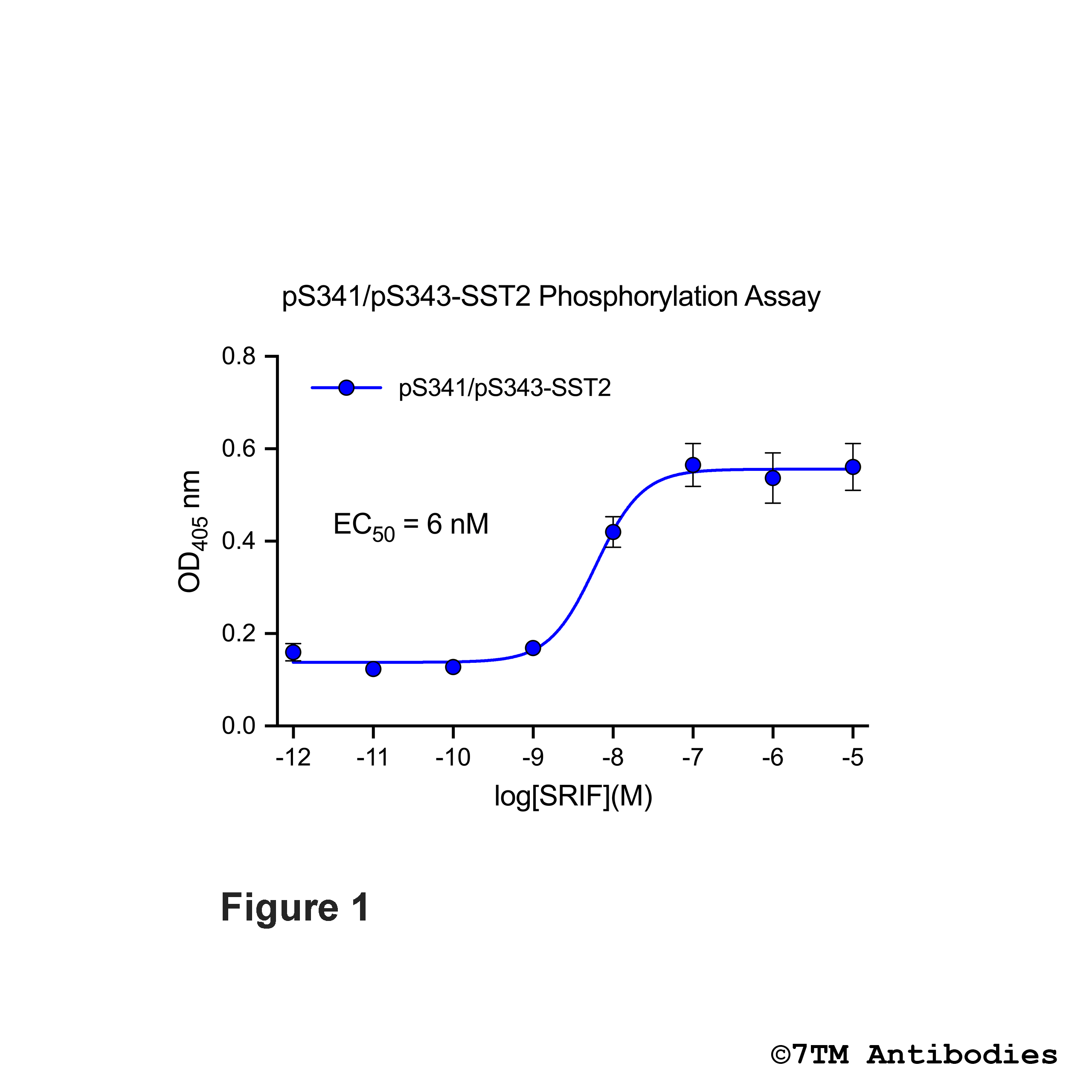 SST2 (Somatostatin Receptor 2) | 7TM Antibodies